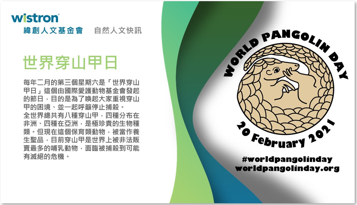 Public Info | The 2021 World Pangolin Day invites you to watch the ...