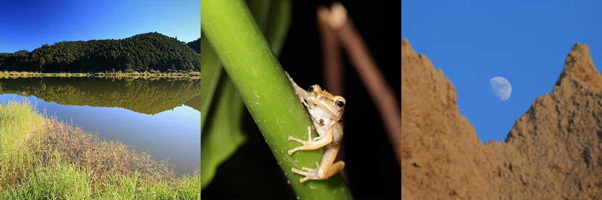 Public Info | IC Broadcasting’s Island Symbiosis – Listening to Taiwan ...