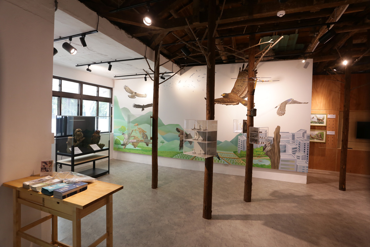 Public Info | Taipei Raptor Conservation – Grass Mountain Raptor Center ...