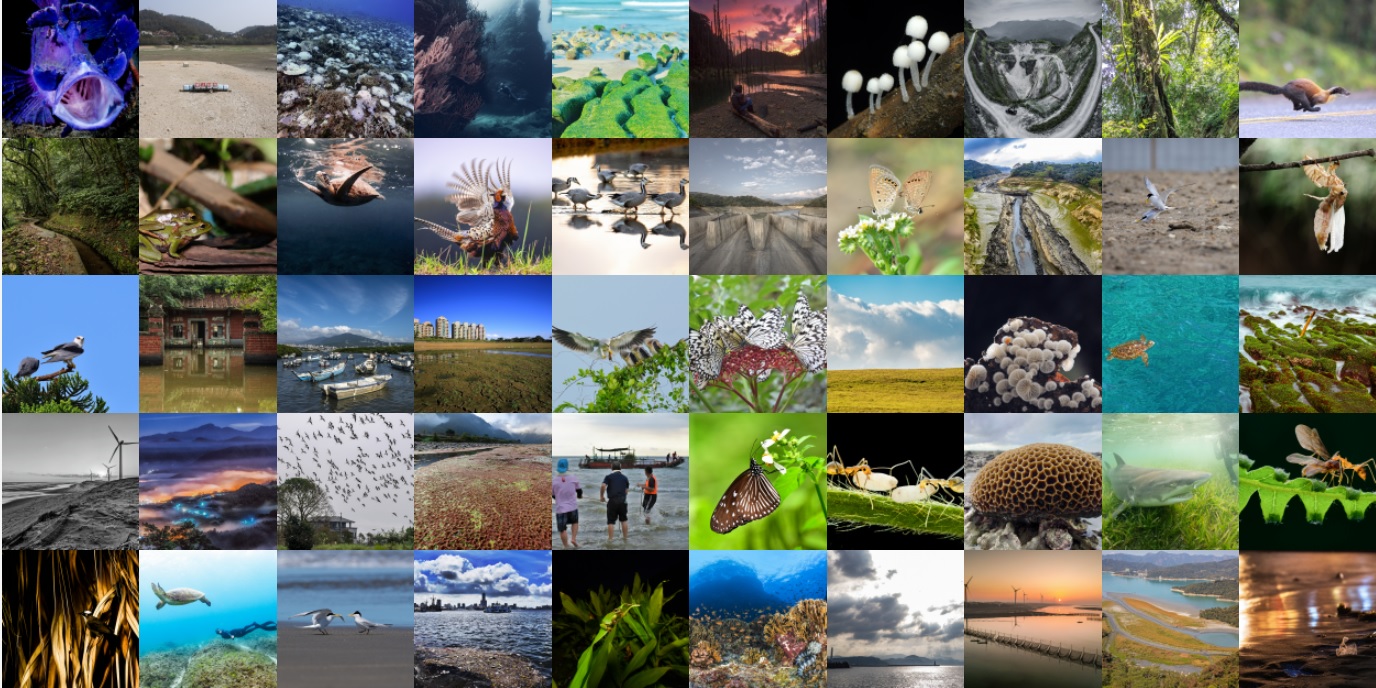 Public Info | National Geographic’s 2022 Taiwan Photo Contest Shortlist ...