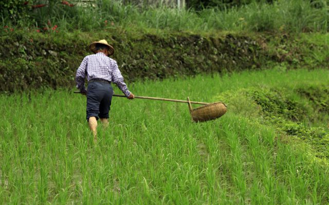 Achievements | Terraced Fields