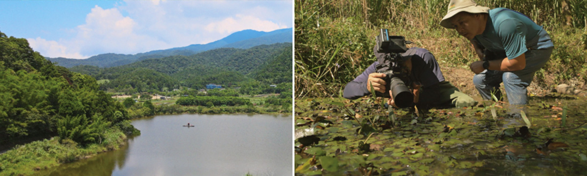 Public Info | “2022 Taiwan Photo Contest” Ecological Sustainability ...