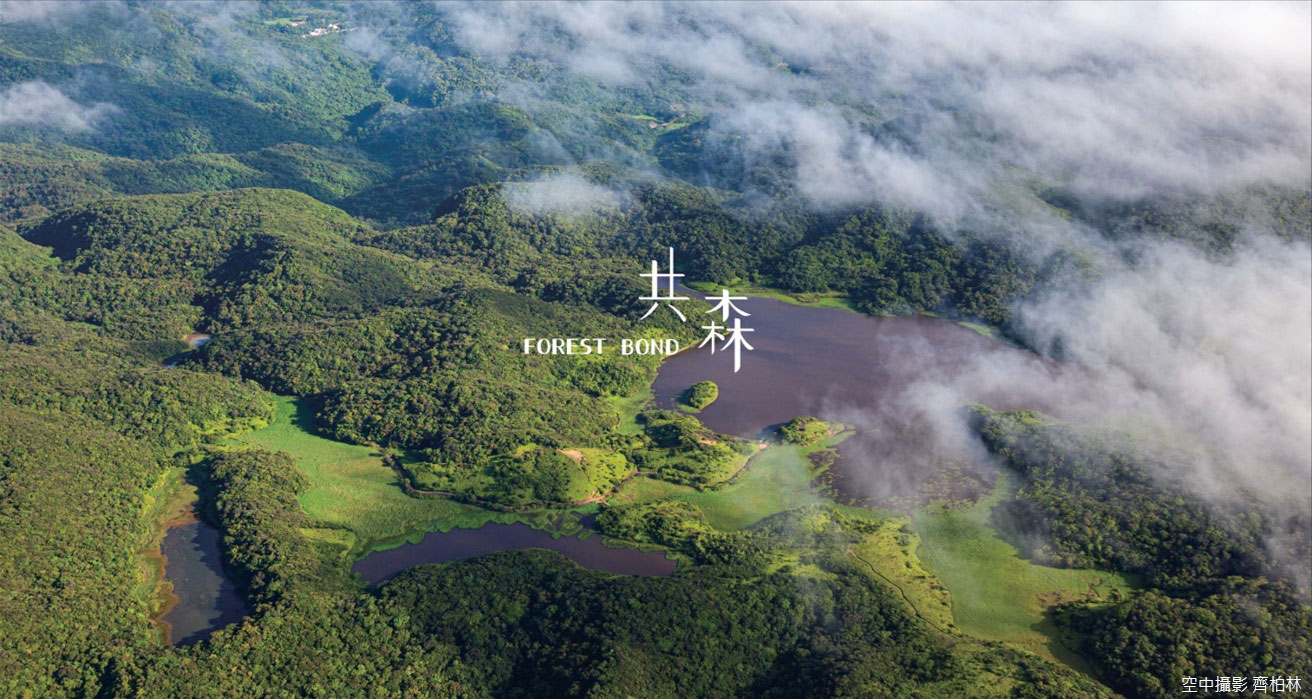 Public Info | Chih-Po Lin Museum’s annual exhibition Forest Bond ...